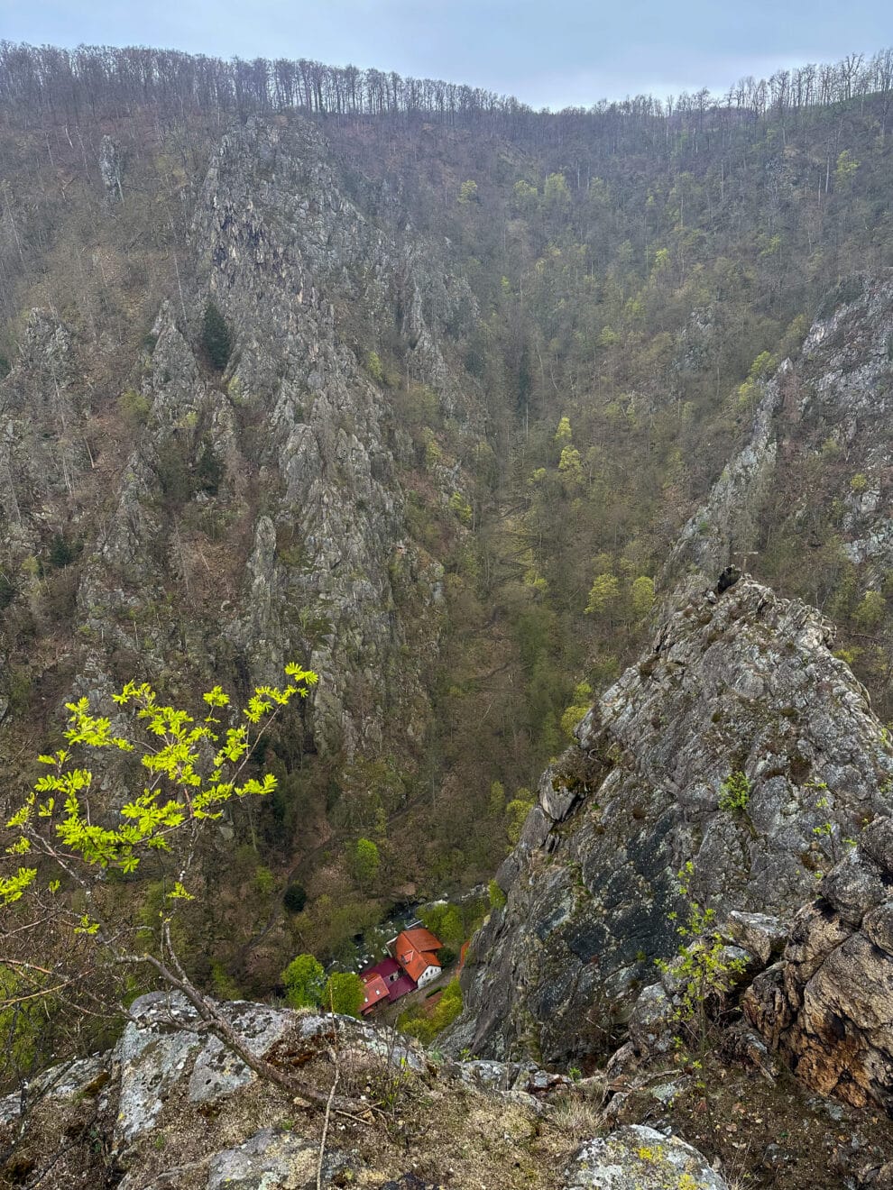 Mooiste korte wandelroute door het Harz gebergte - Daily Nonsense