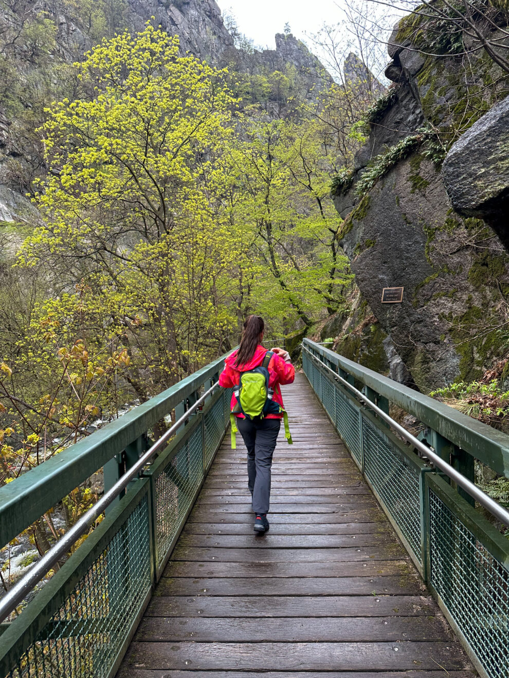 Mooiste korte wandelroute door het Harz gebergte - Daily Nonsense