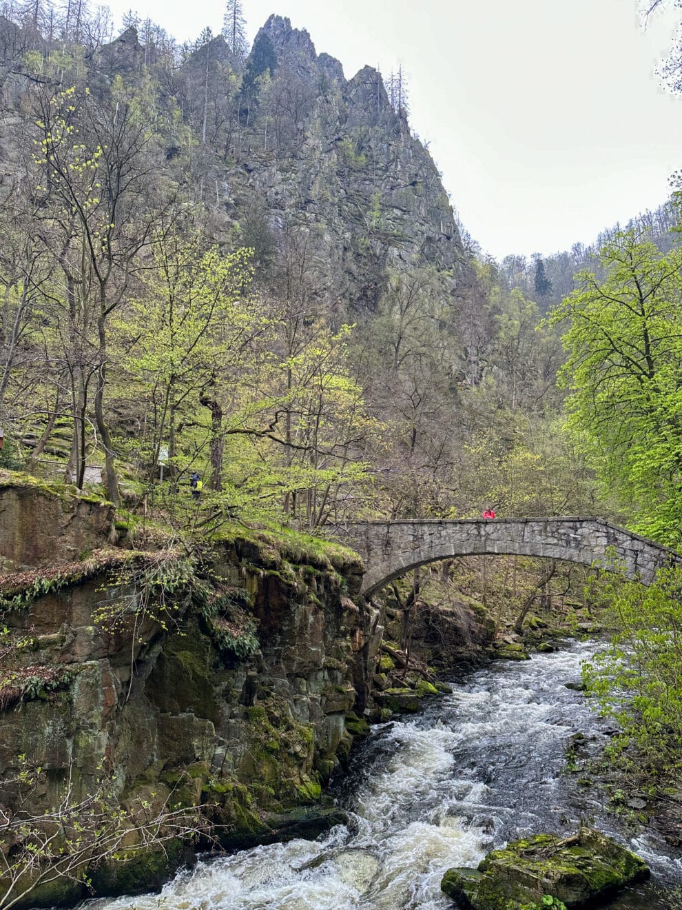 Mooiste korte wandelroute door het Harz gebergte - Daily Nonsense